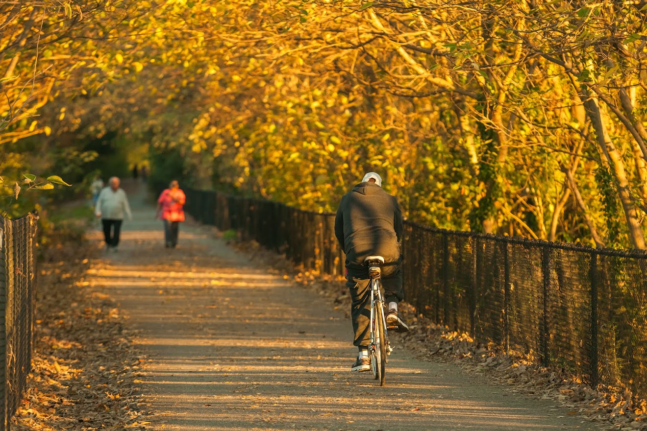 Discover Spartanburg's Historic Sites - Experience Spartanburg